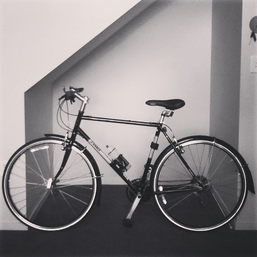 faire du vélo – Paper Tiger